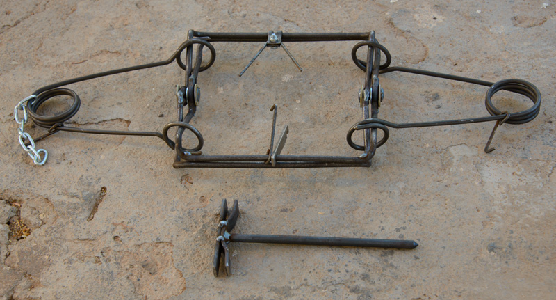 Peter Schneekluth Predator Control